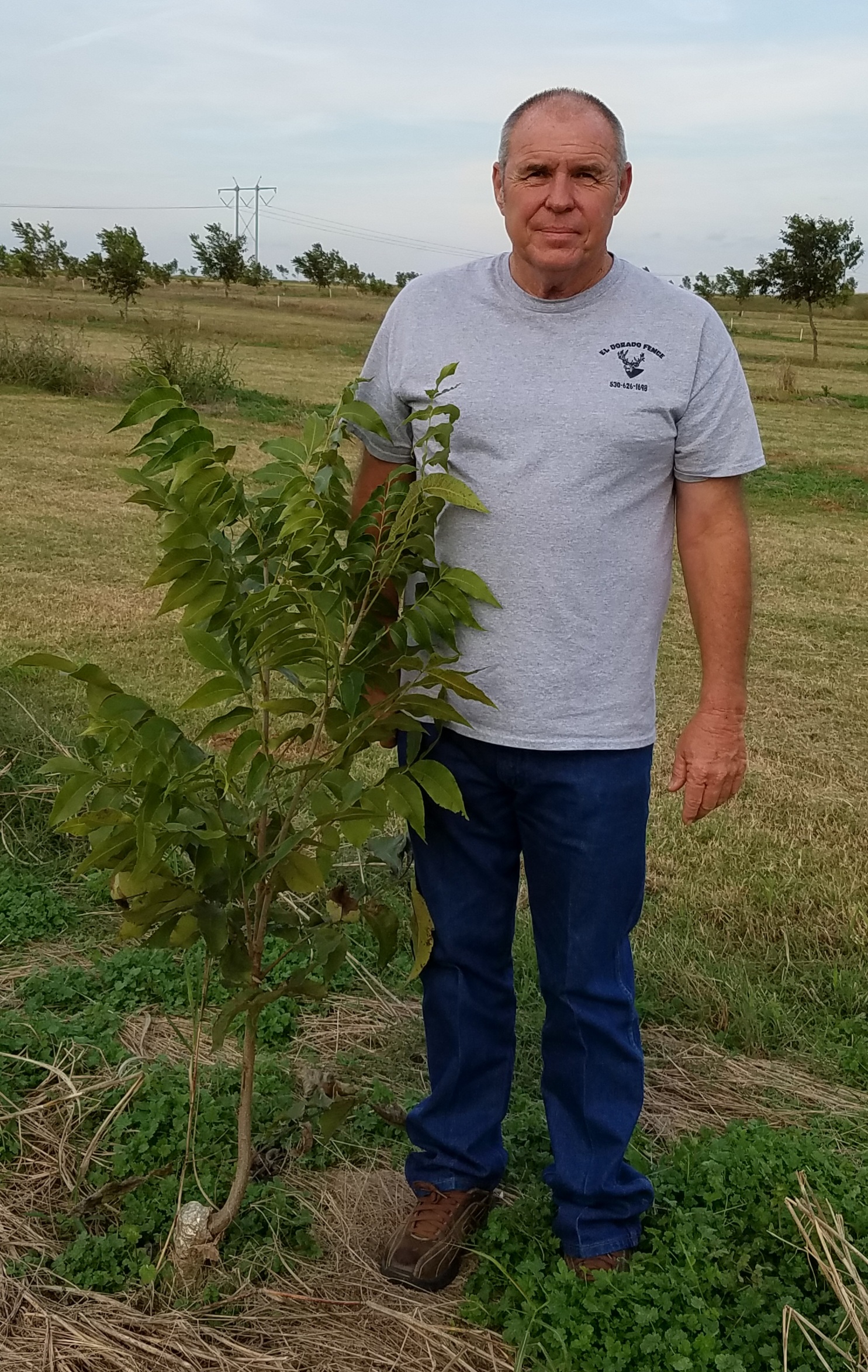About – Buchanan Family Pecan Farm